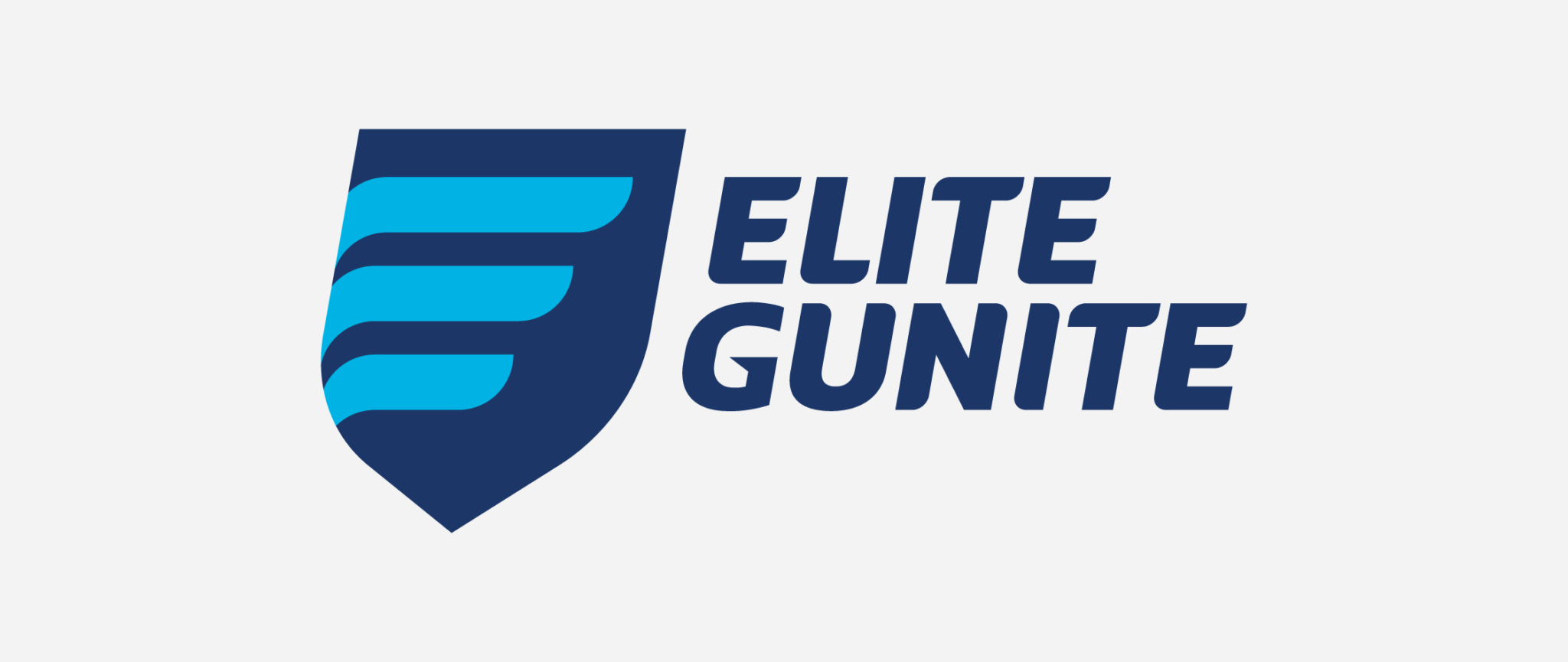Elevated Branding | New Logo for Elite Gunite | MADE